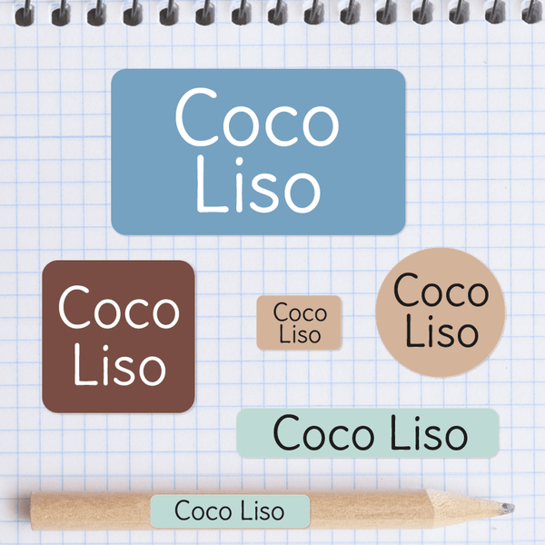 Cocoliso Paquete Regreso a Clases Con Diseño - Cochinita Vinil